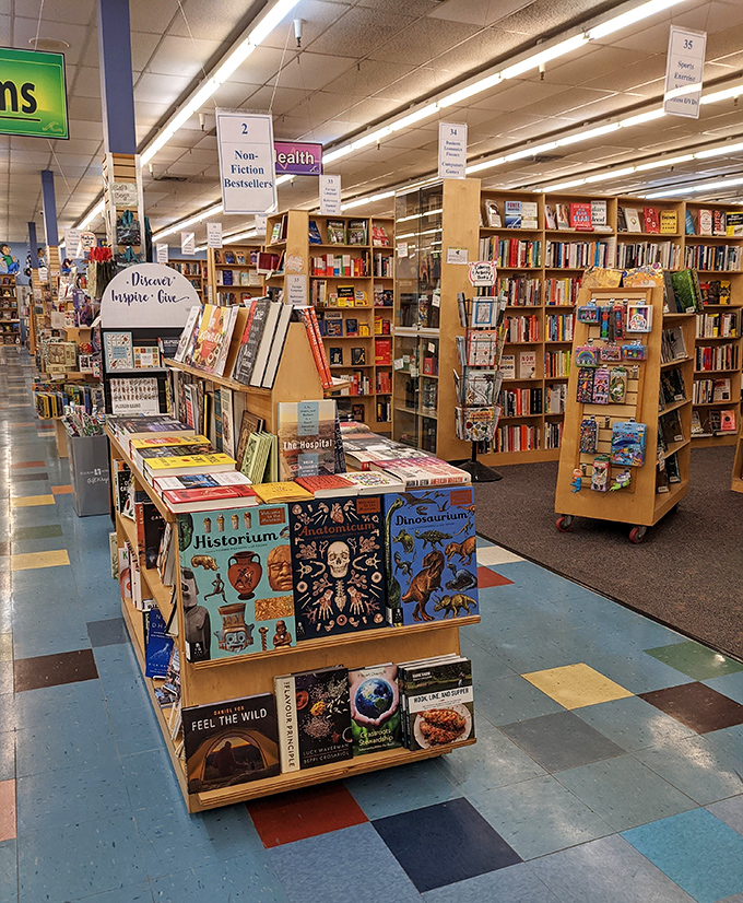 From Jane Austen to Stephen King, these shelves are like a literary cocktail party where all the greats mingle.
