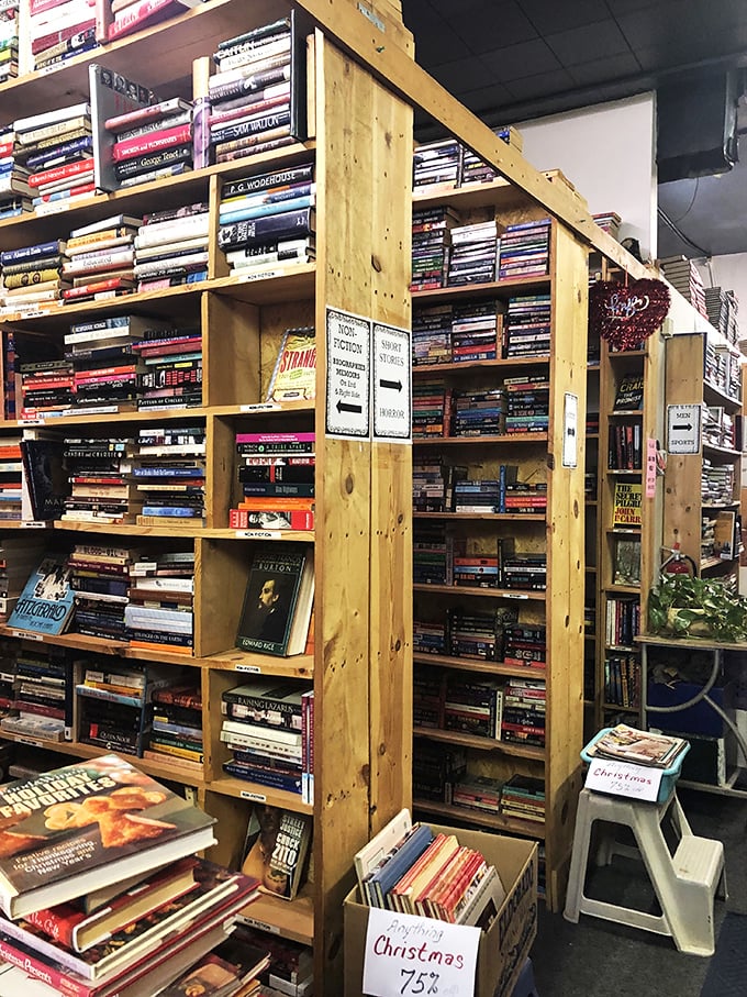 Floor-to-ceiling stories await. It's like the Library of Alexandria, but with better lighting and no risk of fire.