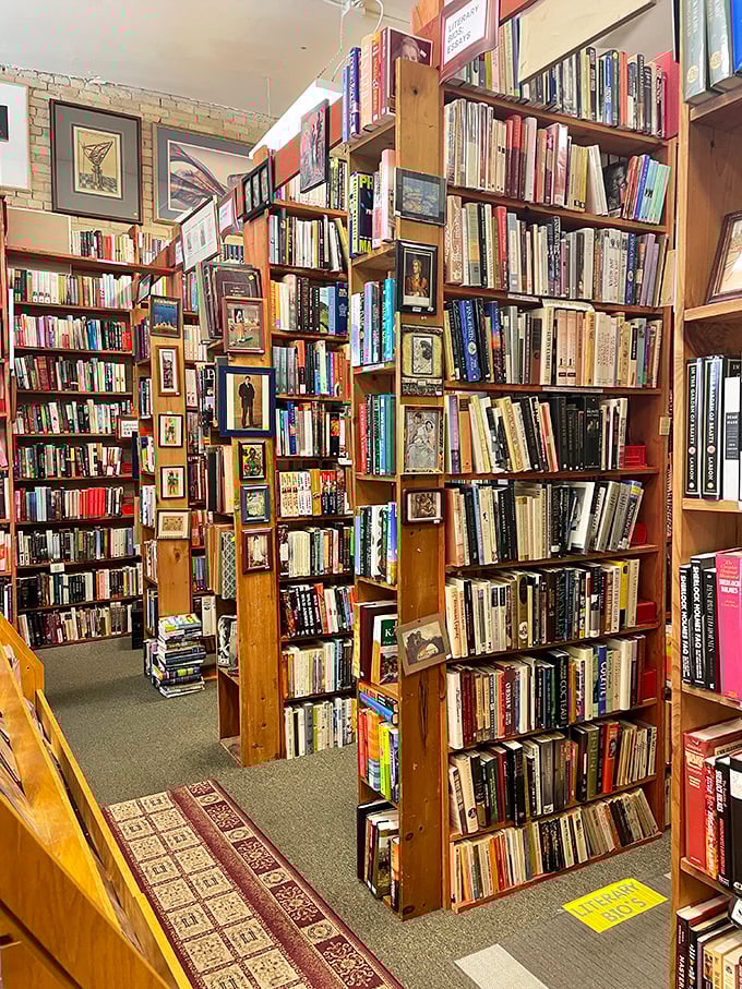 A wall of words, a fortress of fantasy! These towering shelves are the stuff of bookworm dreams, promising endless adventures between their covers.