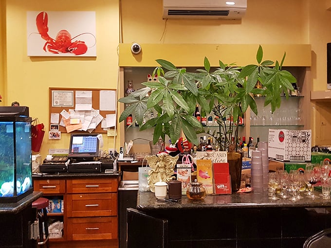 Part jungle, part seaside shack, this counter area is where the magic happens. That red lobster painting? It's basically the Mona Lisa of crustacean art.