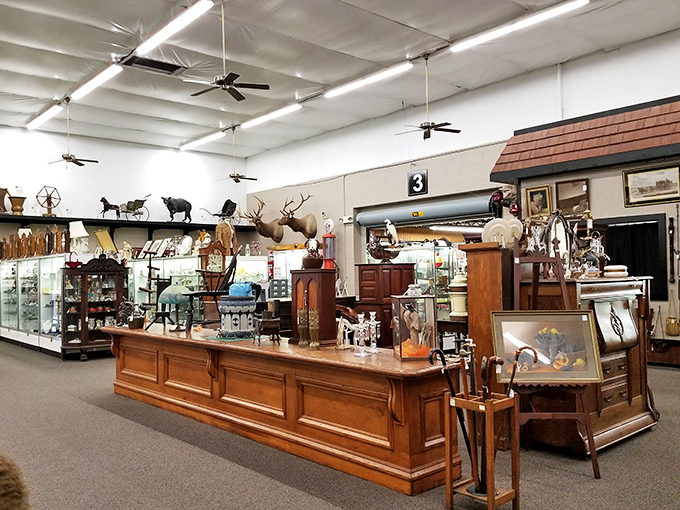 A hunter-gatherer's dream! This corner has everything from mounted antlers to vintage kitchenware. Talk about range!
