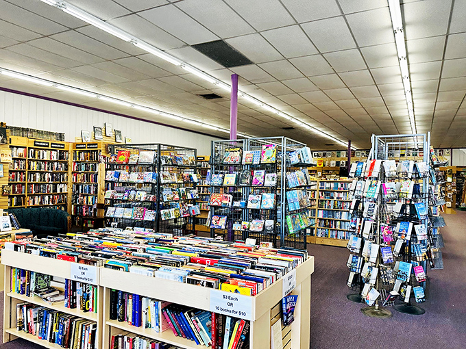 A kaleidoscope of covers! This display is a visual buffet of stories, each spine a doorway to a new world waiting to be explored.