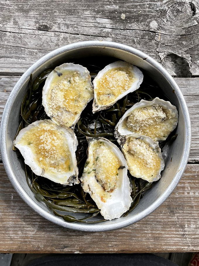 Grilled oysters: when you can't decide between raw and cooked. These smoky pearls are the best of both worlds.
