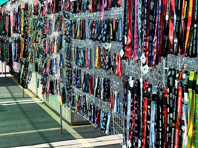 Lanyard lovers, rejoice! This colorful collection could outfit every conference attendee from here to Silicon Valley. Name tag not included.
