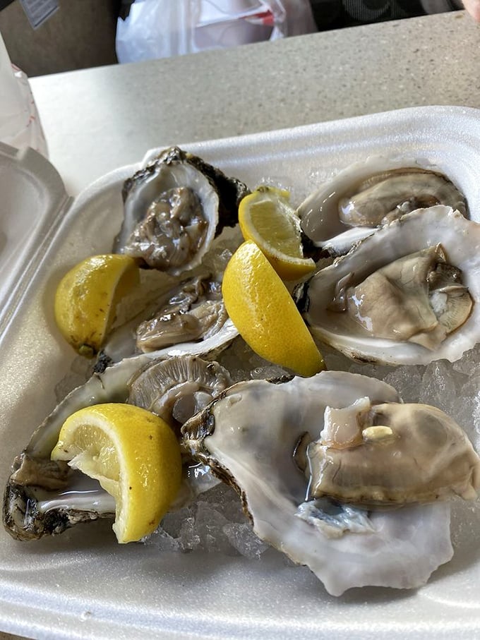 Shuck yeah! These plump oysters are nature's perfect appetizer, just waiting for a squeeze of lemon and a dash of adventure.