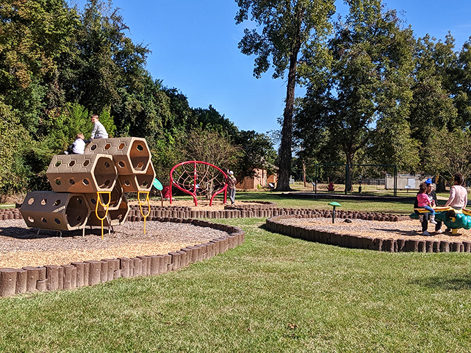 Who says playgrounds are just for kids? This one's got more curves than a country road and twice the fun!