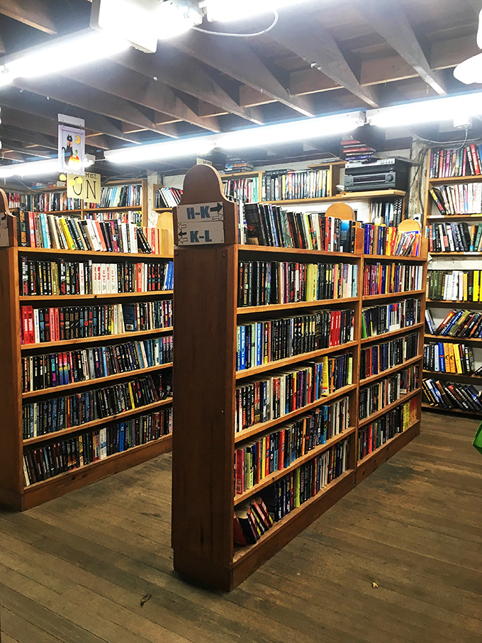 Shelf life: infinite. These wooden warriors have seen more stories than a Hollywood scriptwriter. If only they could talk &ndash; oh wait, they can!