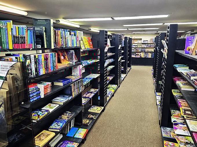Shelf after shelf of potential adventures! It's like a choose-your-own-adventure novel, but with the whole store as your playground.