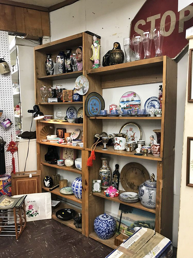 Shelf life eternal! These eclectic collections could outfit a home, start a museum, or inspire the next Wes Anderson film.