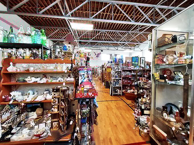 Shelf life: infinite! These stocked shelves are a smorgasbord of curiosities that'll keep you browsing for hours.