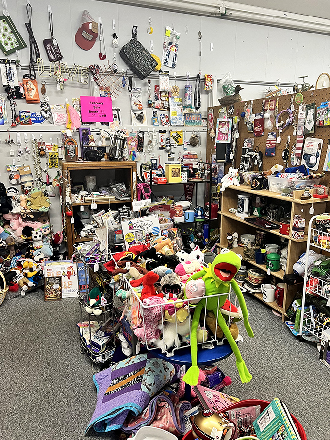 Toy story come to life! Kermit the Frog presides over a kingdom of plush pals, ready to spark joy in kids from 1 to 92.