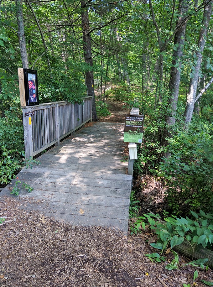 Take a walk on the wild side! This scenic trail offers a peaceful escape, perfect for working off that lobster roll.