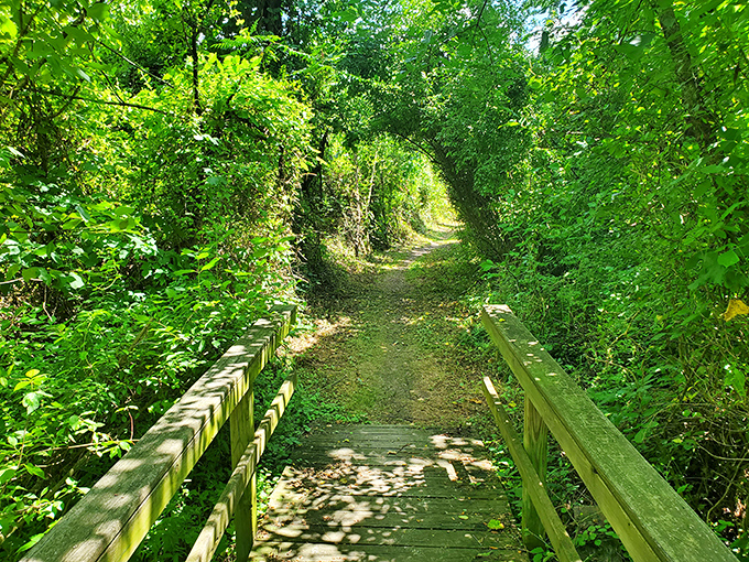 Nature's red carpet! This trail invites you to take a walk on the wild side, where the paparazzi are squirrels and the VIPs are songbirds.
