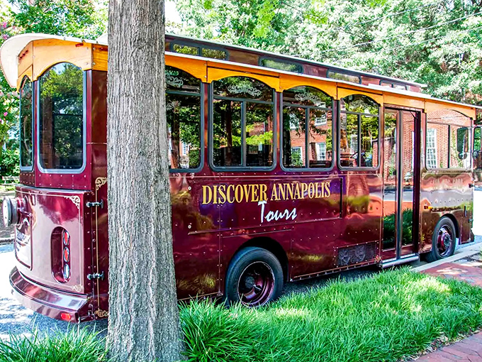 All aboard the time machine! This trolley's not just touring town; it's wheeling through centuries. Buckle up for a ride through Annapolis's greatest hits.