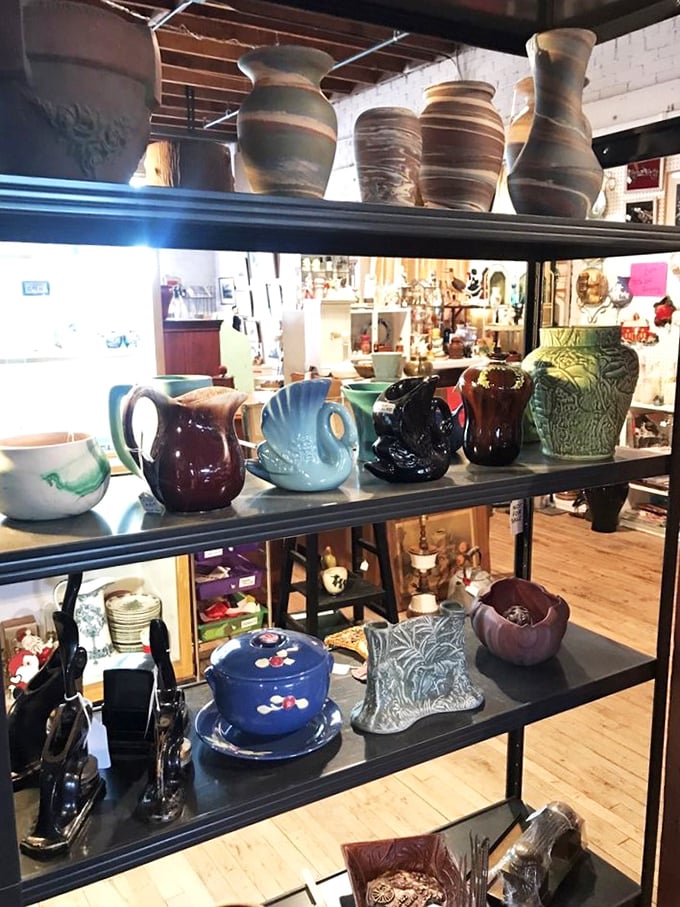 Vases and pitchers galore! Whether you're a budding florist or just want to impress the in-laws, there's a vessel for every bloom.