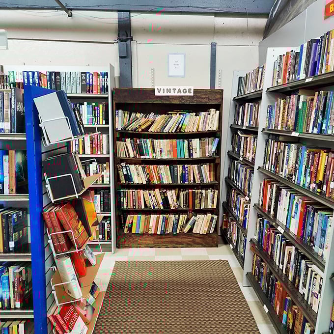 Vintage volumes, modern treasures. This corner is where timeless tales meet contemporary classics &ndash; a literary time machine for the curious mind.