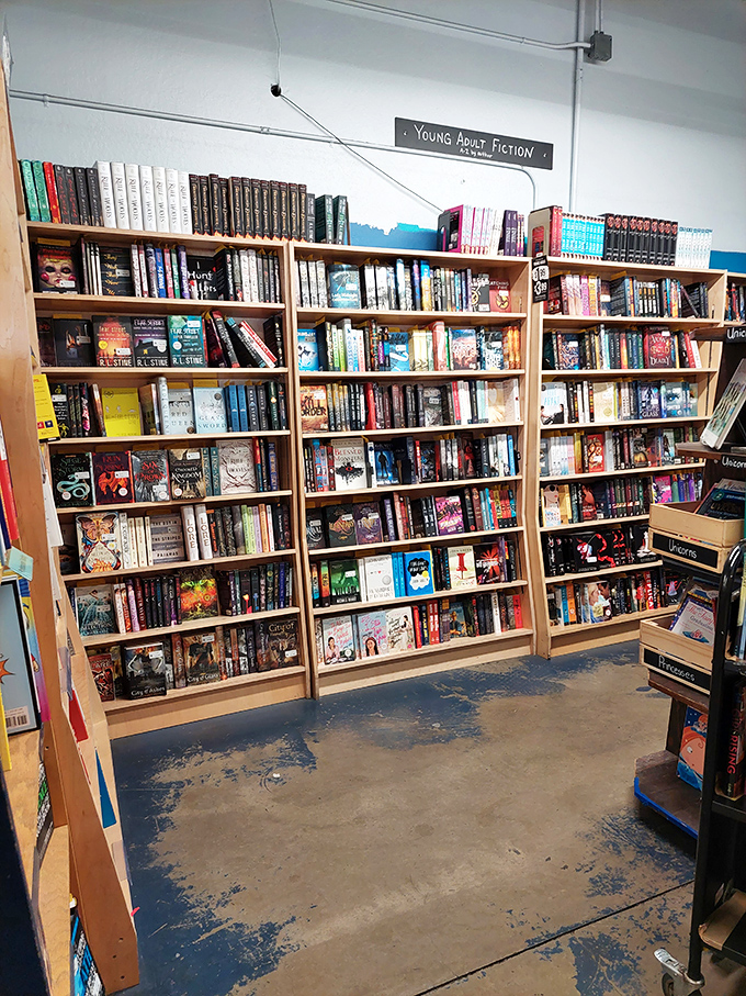 The Young Adult section: a kaleidoscope of worlds waiting to be explored. It's like Netflix, but for your imagination.