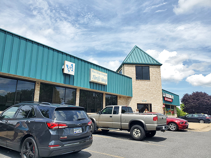 "Blue Ridge Hospice Thrift: Where butterflies and bargains flutter together in perfect harmony."