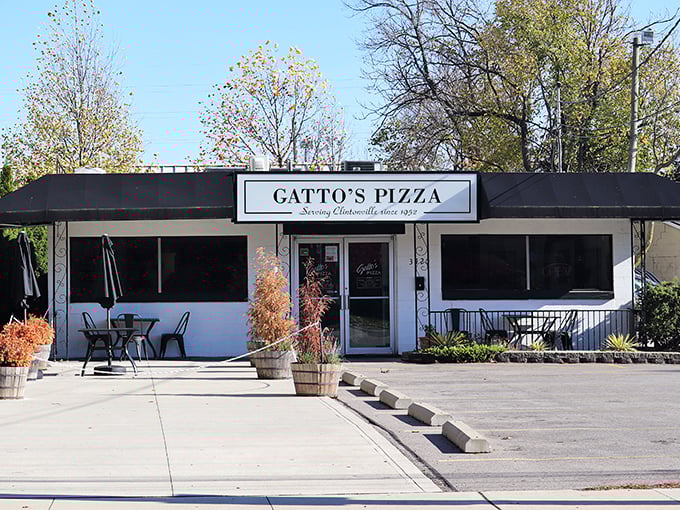Gatto's Pizza: Serving Columbus since 1952, it's like a time capsule you can eat. Each slice comes with a side of 'remember when' and a sprinkle of 'they don't make 'em like this anymore.'