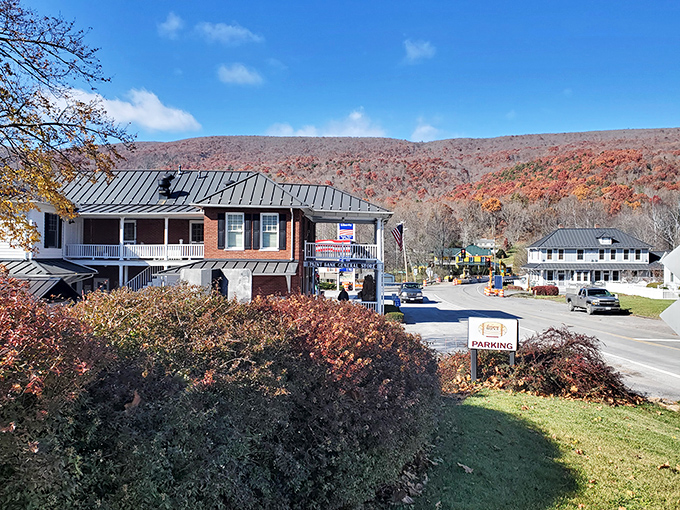Swinging Bridge Restaurant: Where the views are as breathtaking as the steaks. Nature and nurture in perfect harmony!
