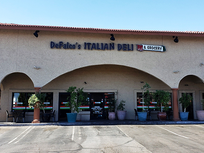Those blue planters outside DeFalco's are like a subtle hint: something fresh and wonderful grows inside—including pizza dreams.