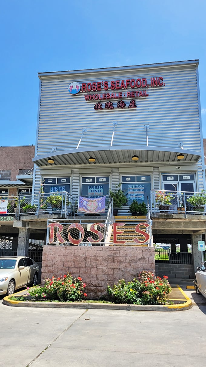 Forget farm-to-table, Rose's is more sea-to-see-food-and-eat-it. Warning: May cause spontaneous happy dances in the parking lot.