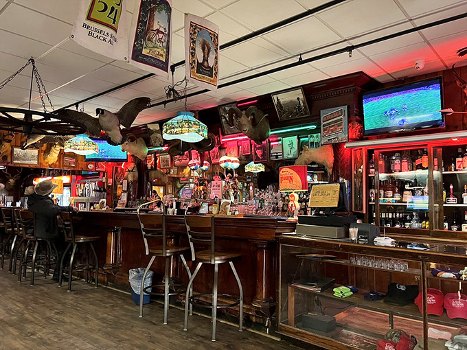 At Ole's bar, the spirits flow as freely as the conversation. It's where taxidermy meets mixology in the most charming way possible.