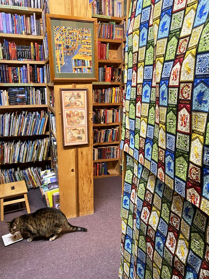 A feast for the eyes and the mind! This colorful corner is a testament to the fact that you can indeed judge a book by its cover – and its company.