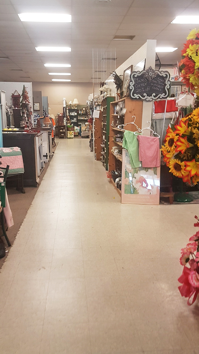 Marie Kondo's nightmare or a collector's dream? These shelves are a testament to the art of organized chaos.