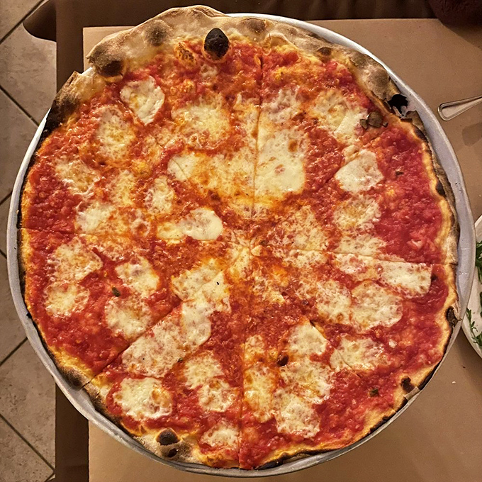 Cheese, Louise! This classic pie proves that sometimes, the simplest things in life are the most satisfying. Pizza nirvana achieved.