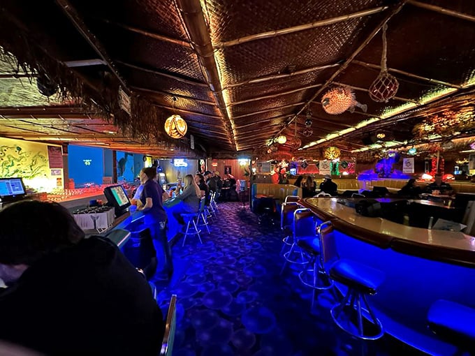 Where the night is always young and the tunes are always flowing. It's like "Cheers" met "The Little Mermaid" and threw a party!