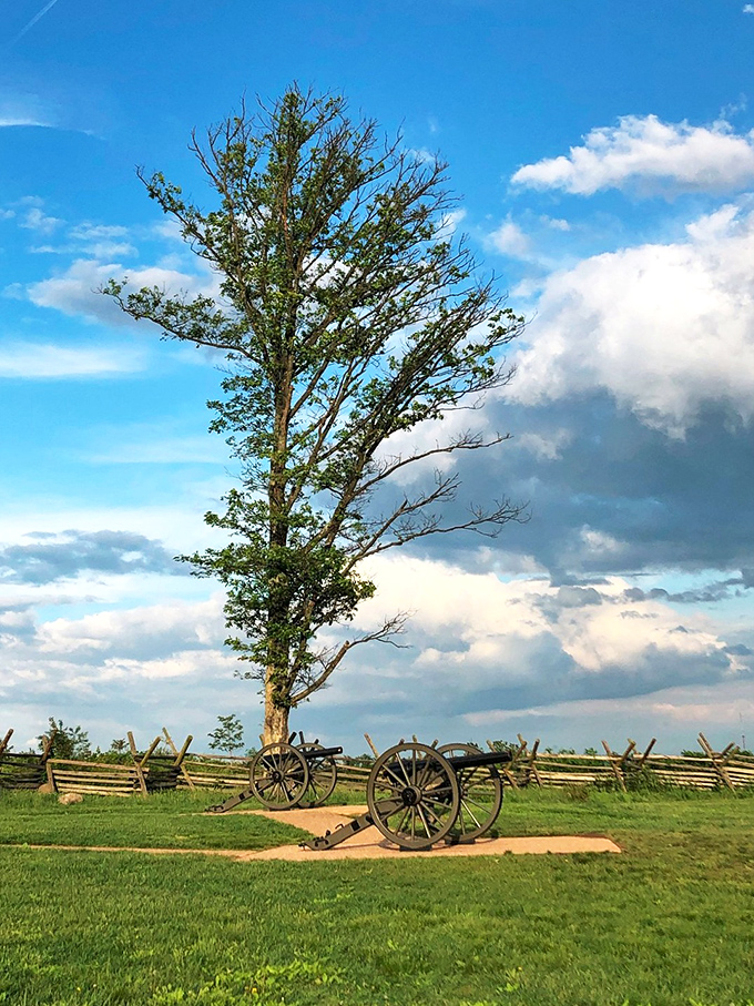 Nature's theater: Where trees stand as silent sentinels, cannons whisper tales of yesteryear, and the sky puts on a daily light show.