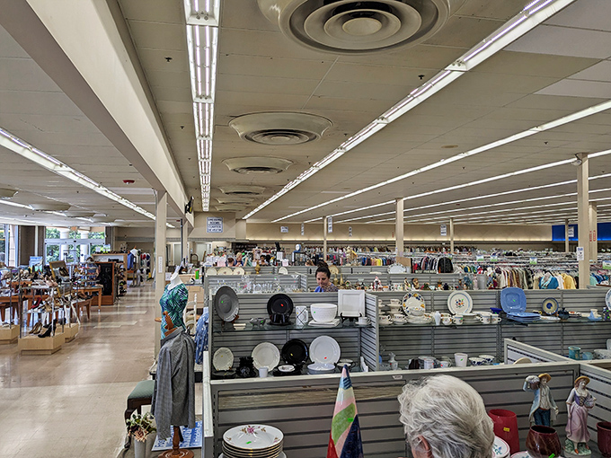 From mismatched mugs to potential heirlooms, the kitchenware section is a culinary adventure waiting to happen.