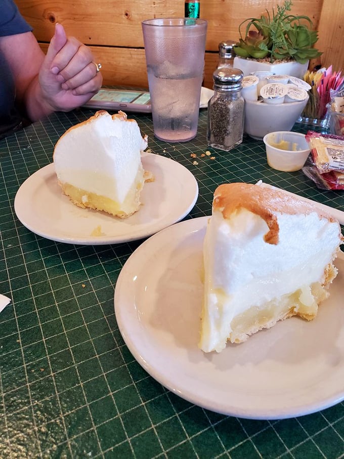 Two slices of heaven, served with a side of decisions. Choosing between these pies is like picking a favorite child &ndash; impossible.