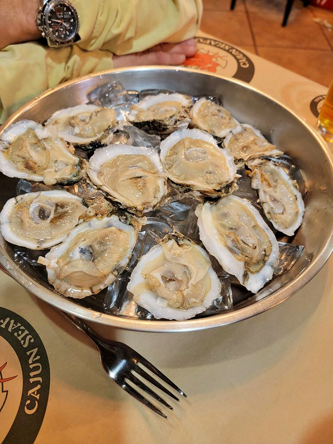 Fresh oysters on the half shell &ndash; nature's perfect appetizer. It's like slurping the essence of the sea, with a squeeze of lemon for good measure.