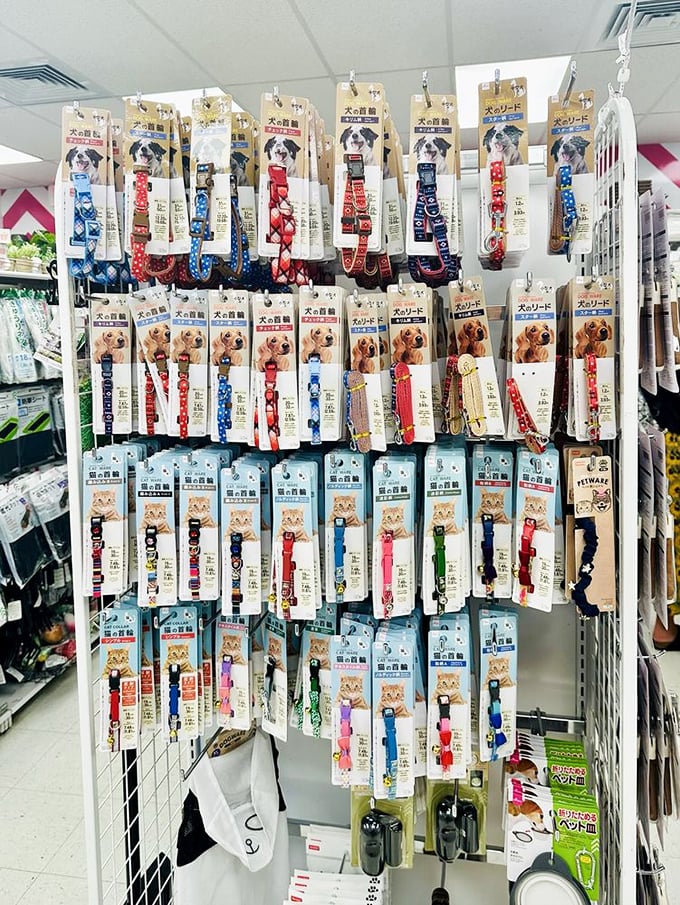 Pet collars and leashes that make American pet stores look like they're not even trying. Spot the Hello Kitty collaboration!