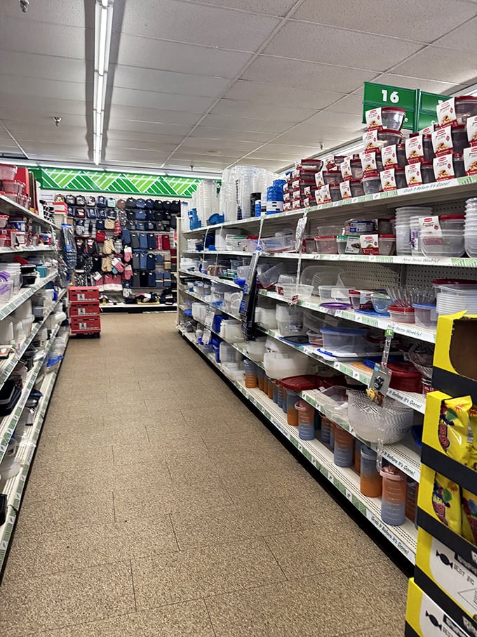 Container yourself! This aisle of plastic wonders is Marie Kondo's dream and a meal-prep enthusiast's paradise.