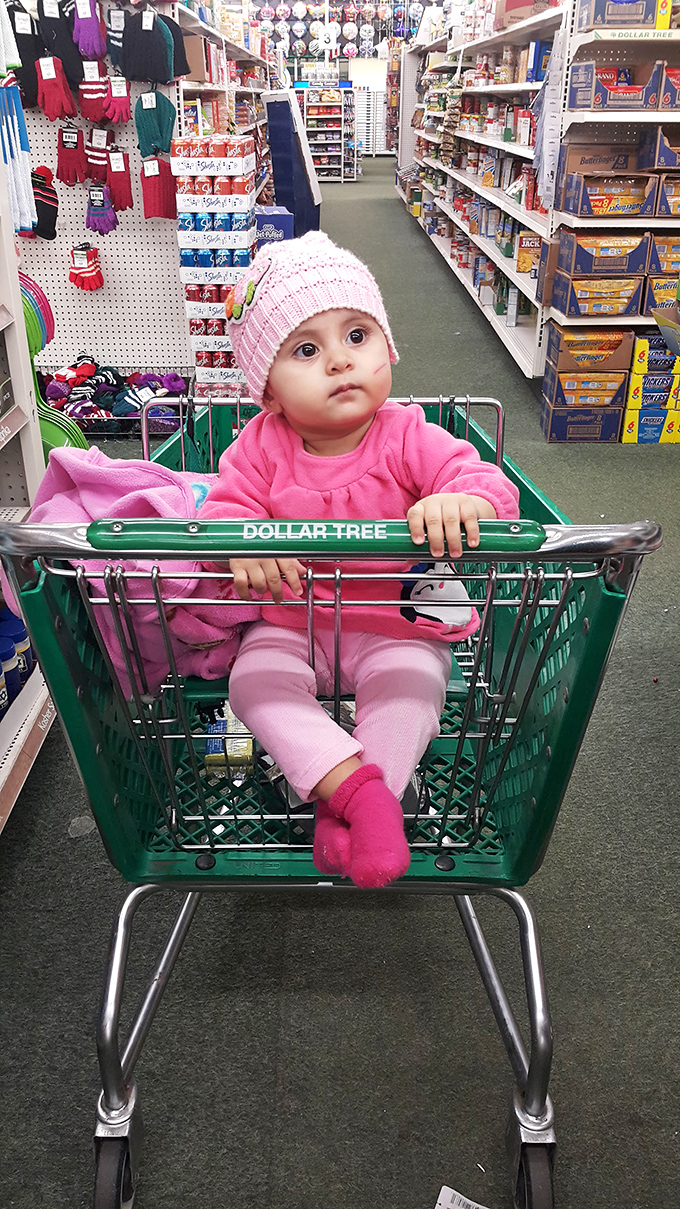 The next generation of savvy shoppers gets an early education in stretching a dollar. Financial wisdom starts in the shopping cart!