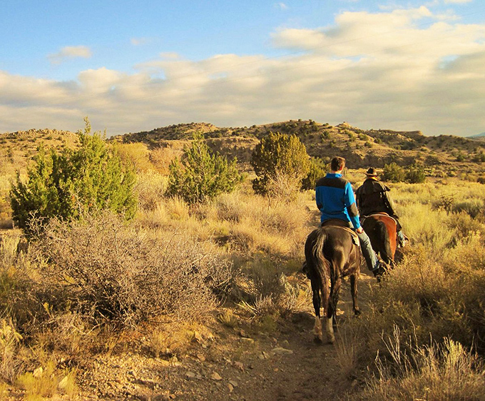 Who needs a yellow brick road when you've got this dusty trail? Adventure awaits, just BYO ruby slippers!