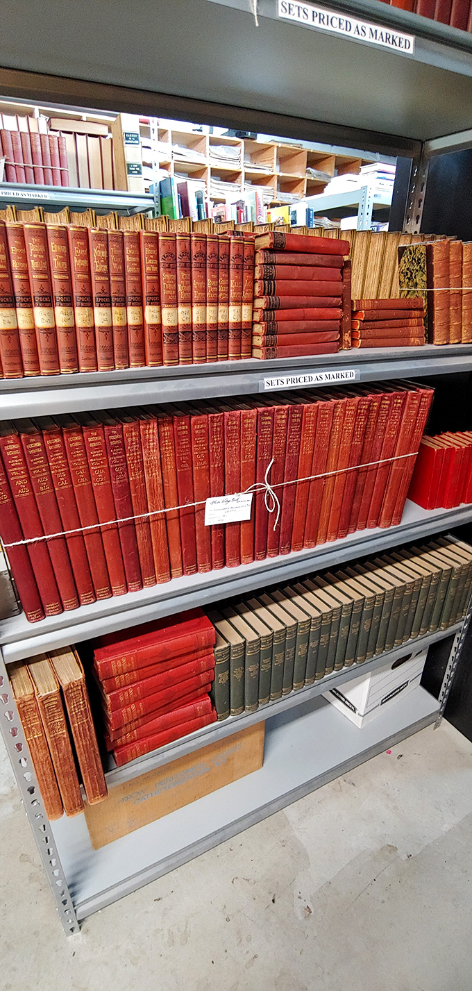 The leather-bound hall of fame! These vintage tomes are the Sean Connery of books – distinguished, classic, and impossibly cool.