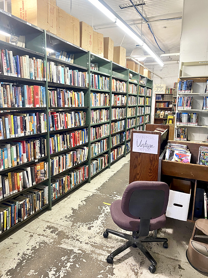 Vintage books: where the stories are timeless and the pages smell like memories. It's like stepping into your grandpa's study.