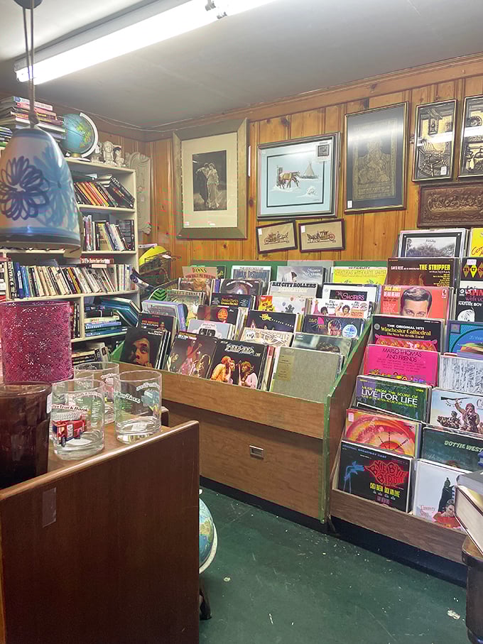 Curios and collectibles as far as the eye can see. It's like your grandmother's china cabinet exploded... in the best way possible.