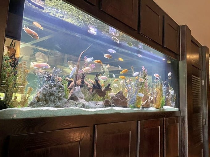 The mesmerizing aquarium adds a touch of serenity to your dining experience&mdash;like dinner and a show, minus the tickets.