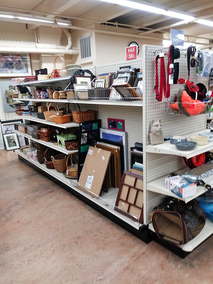 Baskets and frames and knick-knacks, oh my! It's like your grandmother's attic exploded, but in the best possible way.