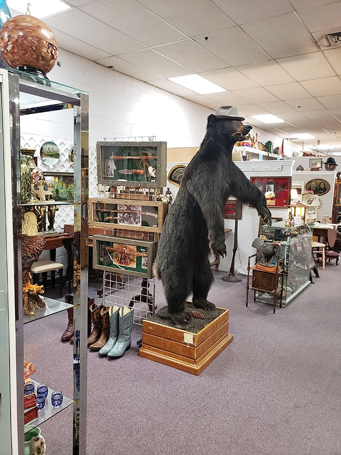 Bear-ly contained excitement! This furry greeter stands tall, ready to welcome you to the wild side of antique shopping.