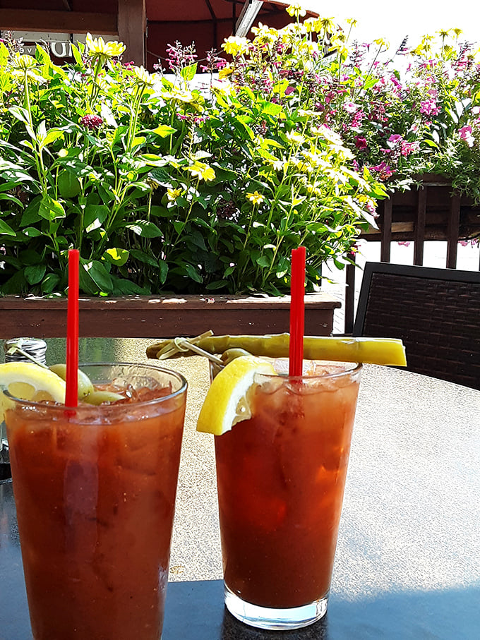 Cocktail o'clock in Bozeman! These ruby-red concoctions are like liquid sunshine, perfect for sipping on the patio while watching the world go by.