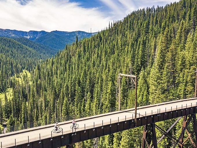 Pedal your way through paradise! The Route of the Hiawatha gives "high-way" a whole new meaning.