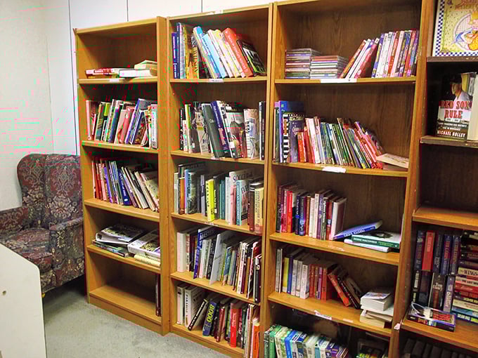 Bookworms, prepare to burrow! These shelves are a literary buffet, serving up everything from dog-eared classics to forgotten bestsellers.