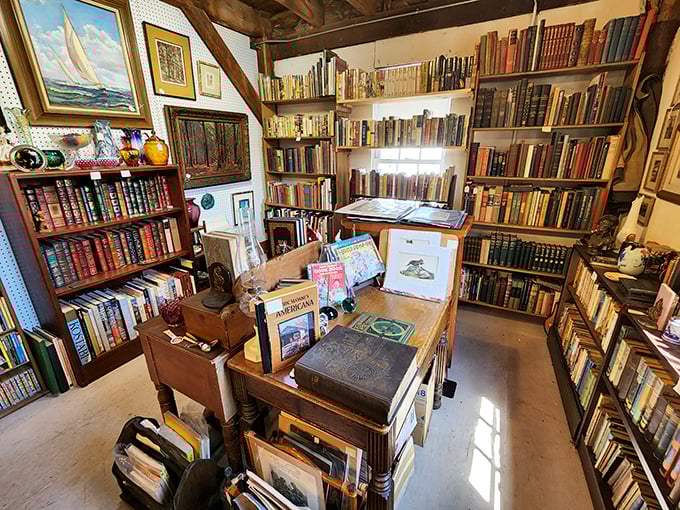 Shhh&hellip; the books are talking. Each shelf is a time capsule of ideas, adventures, and that unmistakable old book smell.