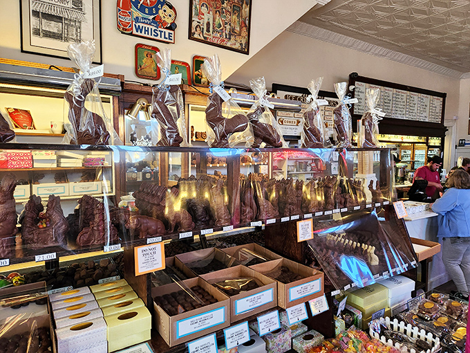 Willy Wonka, eat your heart out! This candy display is like a treasure chest for your sweet tooth, no golden ticket required.